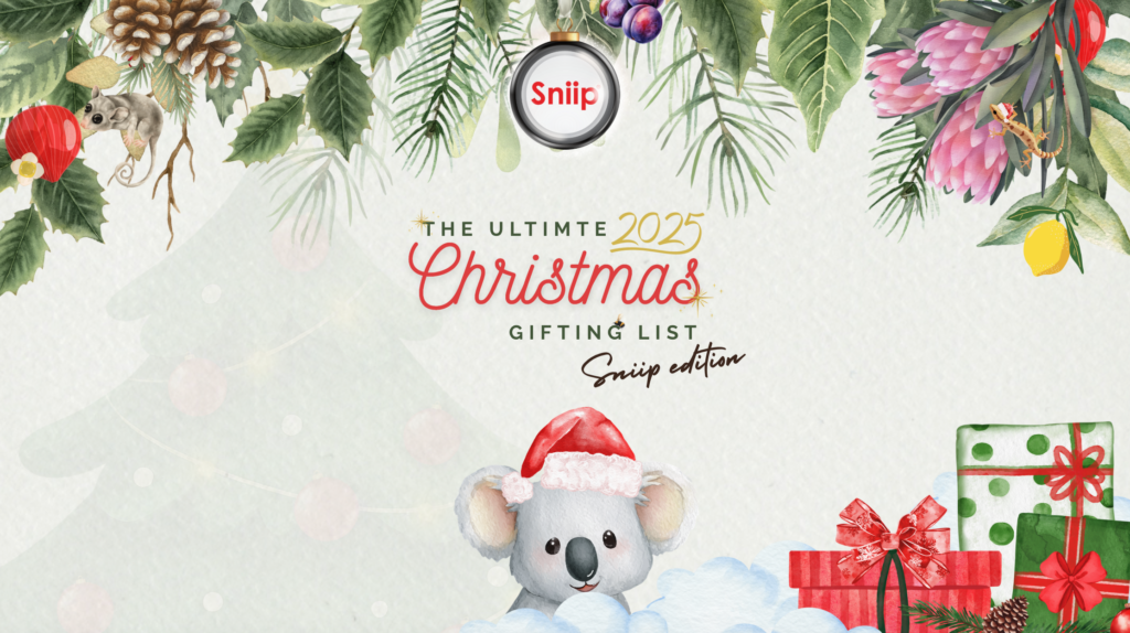 Best Christmas Gifts 2025 - Sniip